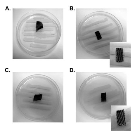 AATCC 147 Antibacterial Activity of Textile Materials: Parallel Streak ...